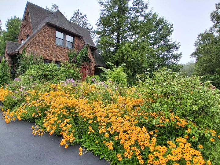 Charming Home In Woodland - Mansfield, OH