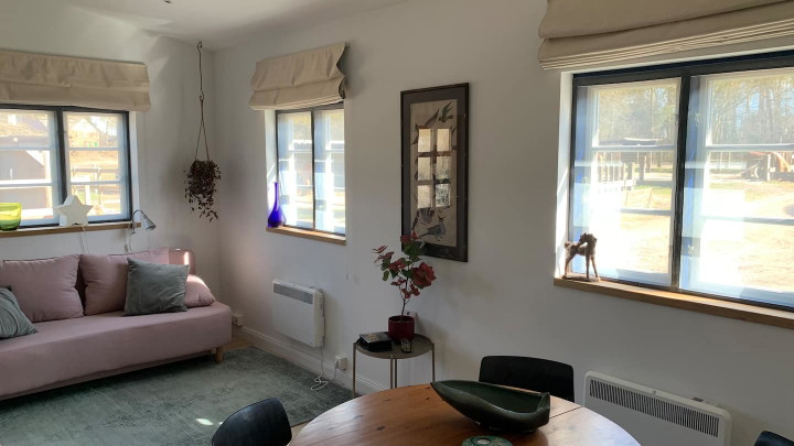 Apartment Auf Islandpferdehof - Rendsburg