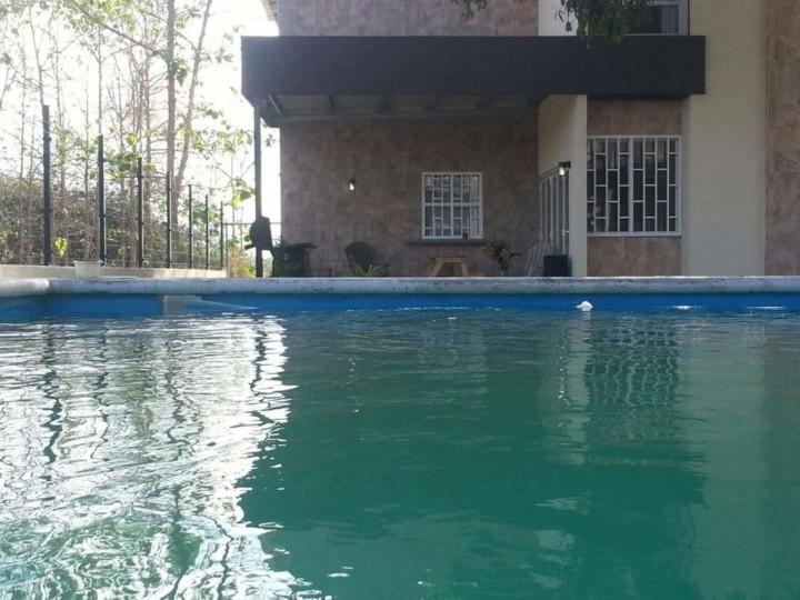 A Bit Of Peace!  Un Poquito De Paz! - Panama