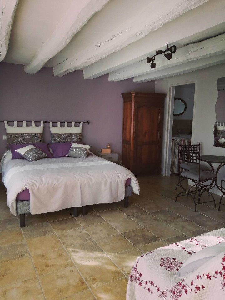 La Pinsonnière Chambre Proche Châteaux De La Loire - Chenonceaux