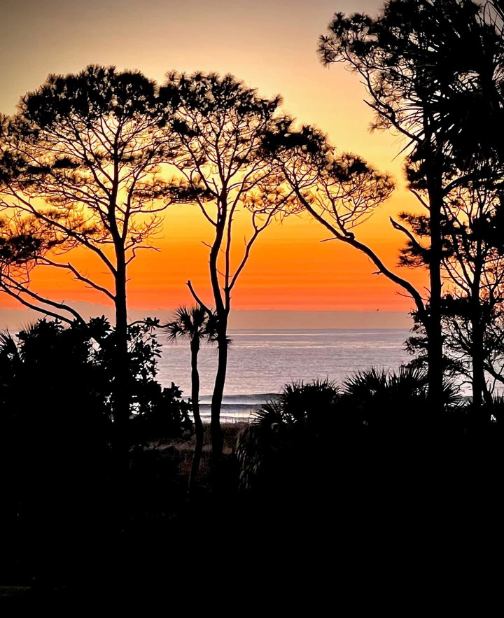 Ocean Front Condo With Amazing Ocean View! - South Carolina