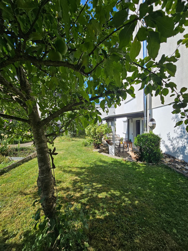 Ferienwohnung Ammonit - Ehingen