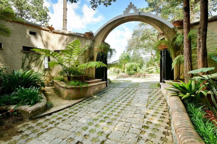 Oh My! Villa Jaguar Mama Avo/farm/hills Of Antigua - Guatemala