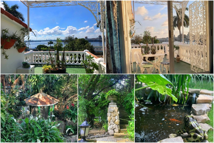 Caribbean Oasis With Ocean View (Free Breakfast) - Havana