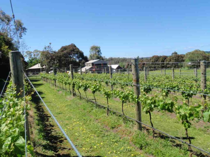 Barn & Boatshed Stay At The Vines Mt Martha - Mornington
