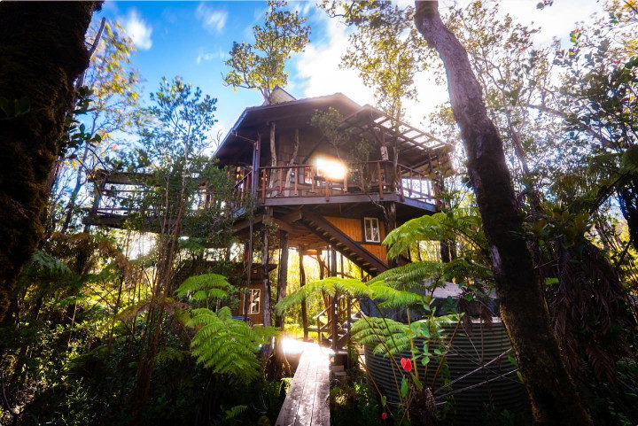 Secret Treehouse 
(Under New Management) - Volcano