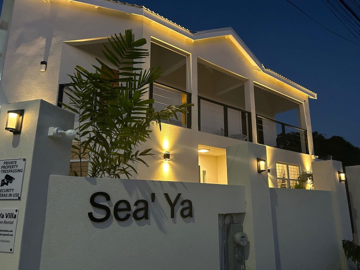 Seaya -New Modern Villa - Barbados