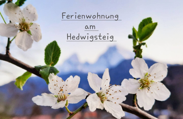 Ferienwohnung Am Hedwigsteig - Berchtesgaden