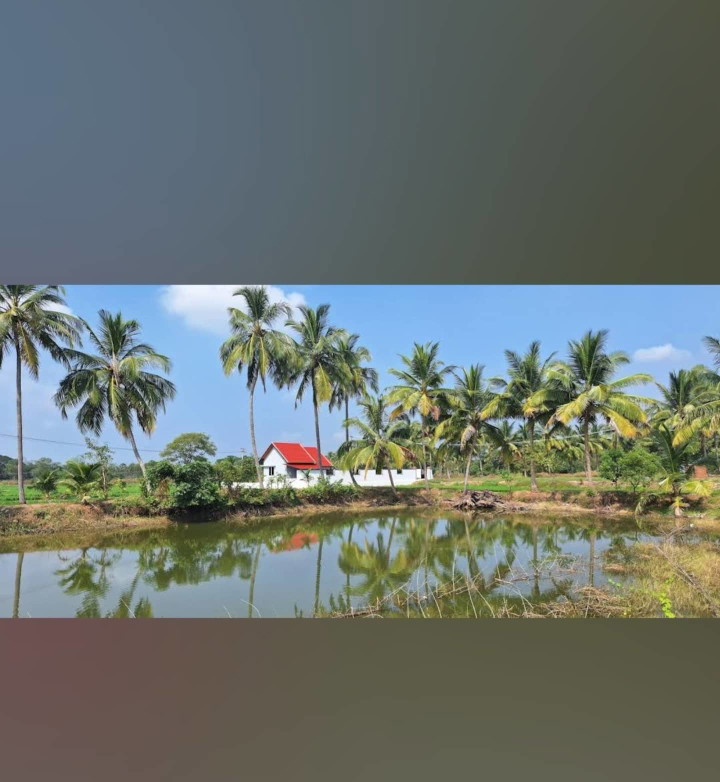 Beautiful Farm Stay-thiruvalathur, Palakkad Kerala - Palakkad