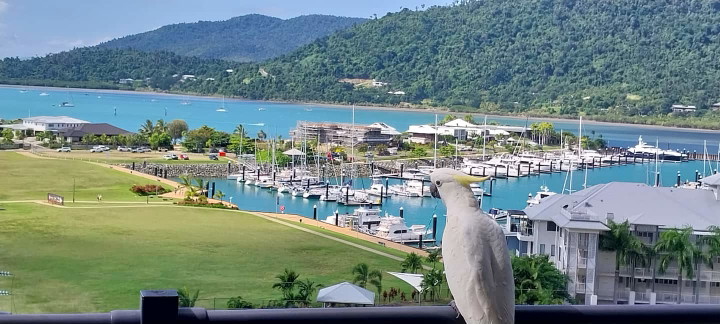 Ocean Breeze Studio️2 Pools️wifi️stunning Views - Airlie Beach