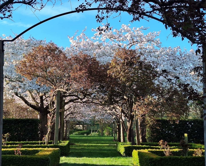 Jane Austen's Perfect English Garden - New Zealand