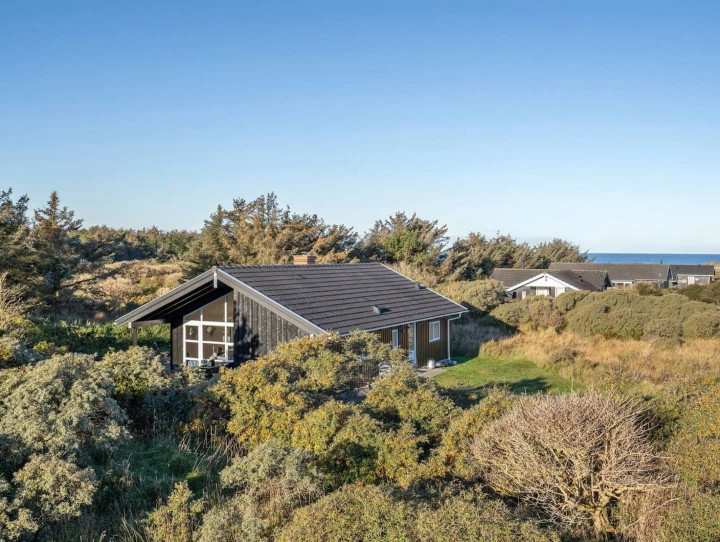 Private Cottage In Nature: 325m From The North Sea - Denmark