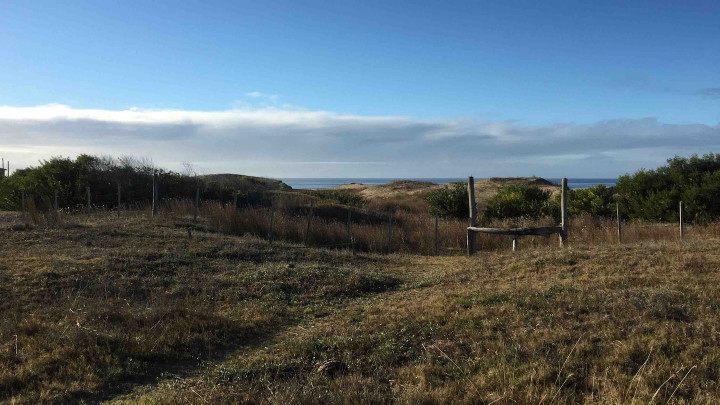 Facing The Ocean, Secluded And Warm - Uruguay