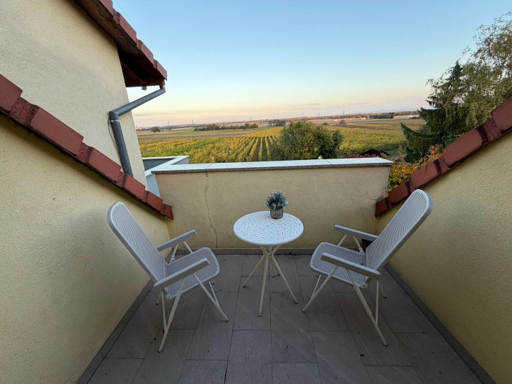 Appartement De Charme, Route Des Vins. - Kintzheim