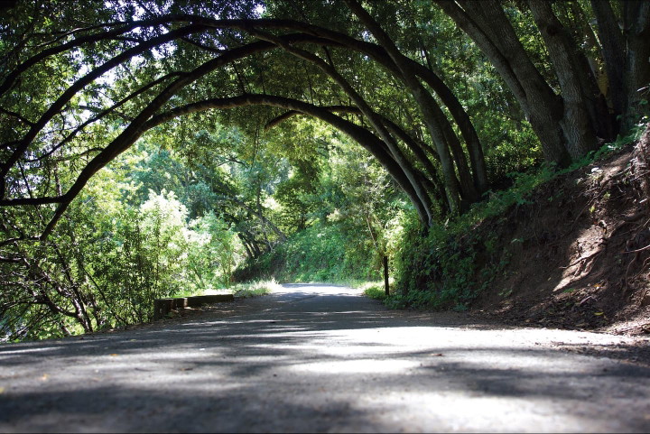 Private Updated In-law Studio Near Lake Chabot - Oakland, CA