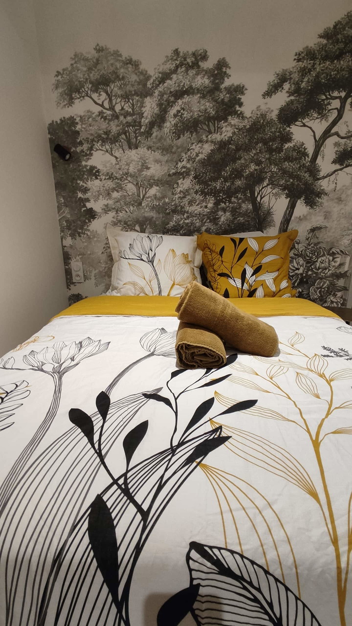 "Centre Historique" Studio Cosy Et Chaleureux - Nevers