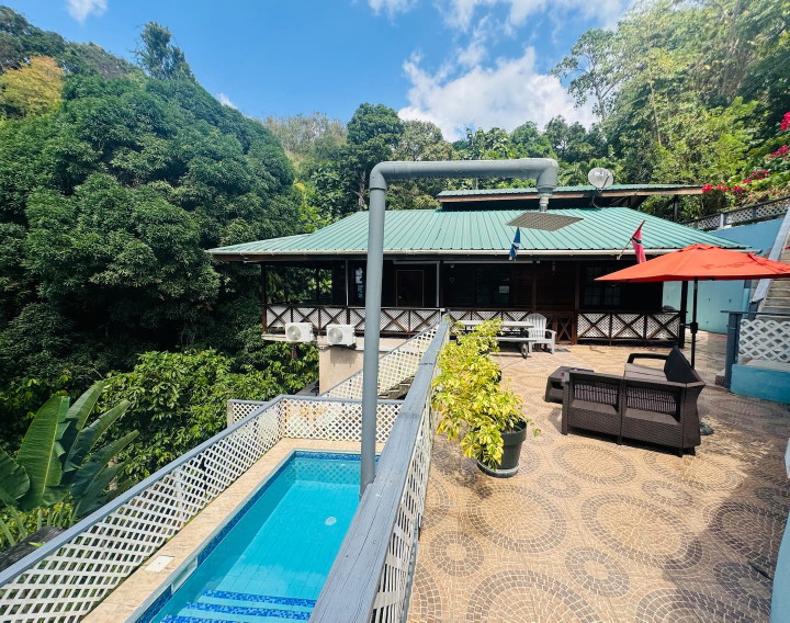 Mot Mot, Villa In Castara. Birdwatcher Paradise - Tobago