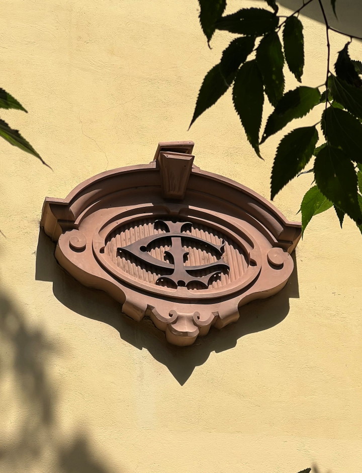 Suite De Charme Surplombant Le Rhône Lyon Crépieux - Chassieu