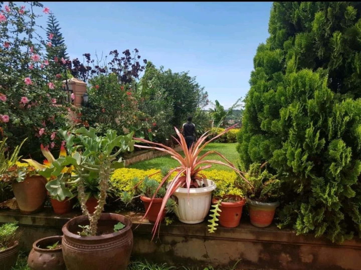 The Garden House - Kampala