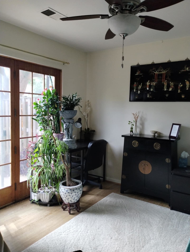 Bsmt Apt By A Lake, No Sharing, Flexible Check In - Fairfax, VA