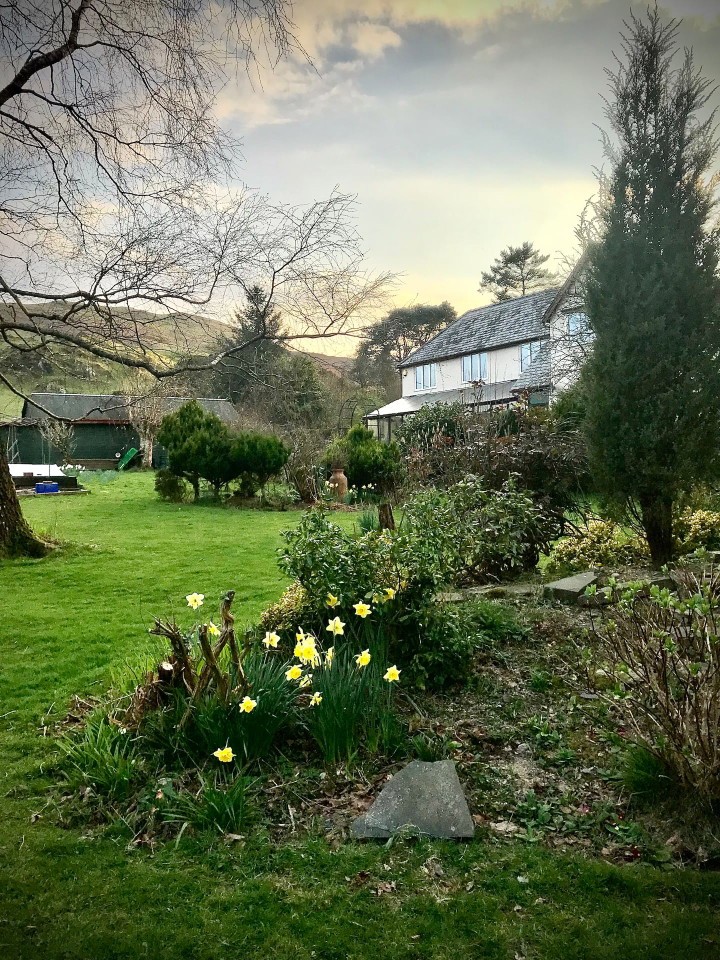 The Bee Hive At Tegfryn, Machynlleth - Machynlleth