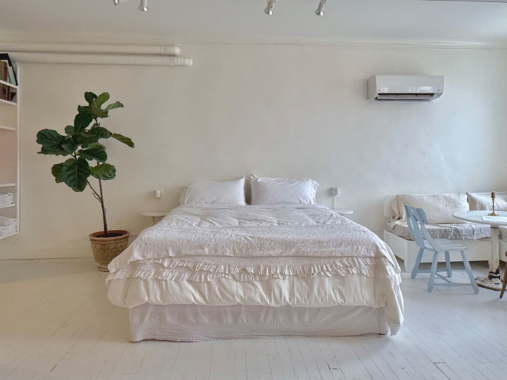 Studio Parisien Ensoleillé Sur Warren St | Hudson - Hudson, NY