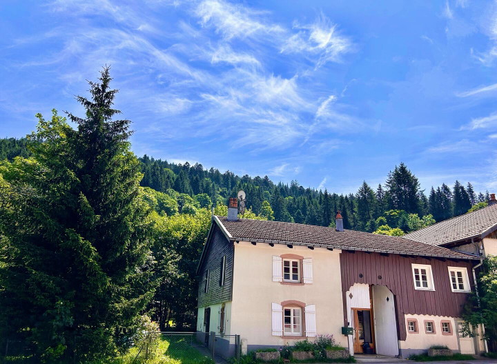 Grand Refuge De Charme, Sauna/rando/ski/rivière - Black Forest