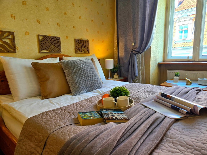 Casa Donna-cozy Five Bedroom Apartment In Old Town - Riga