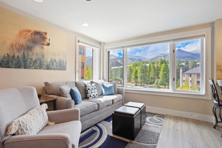 Spectacular Views/ Ski-in & Out, In-town/ King Bed - Summit County, CO