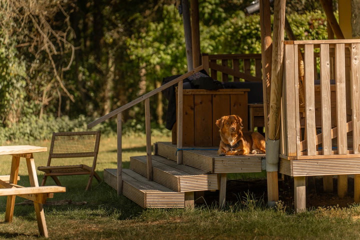 The Forest Escape | 5 Pers. | Heater & Hottub - Bussum