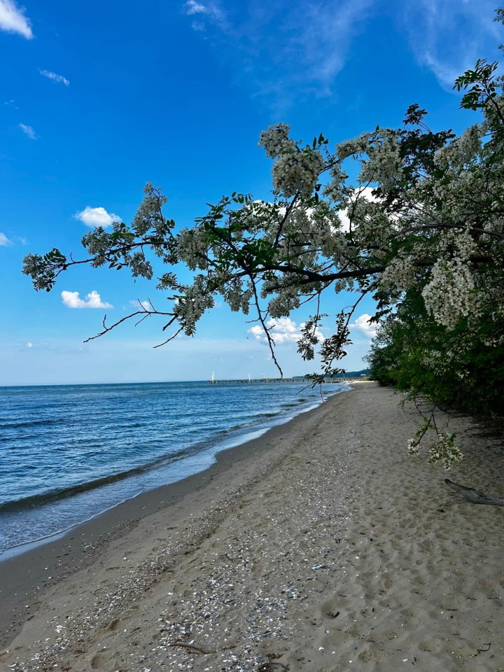 Ocean Break - Maryland (State)