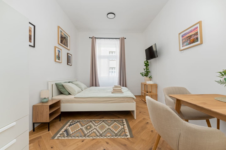 Vk Homes No. 4 - Zizkov - Praga