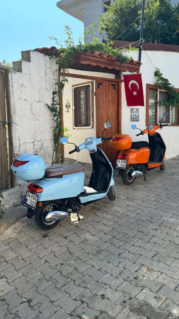 Zeytin-müstakil Bahçeli 1+1 (İZin No:17-693) - Geyikli