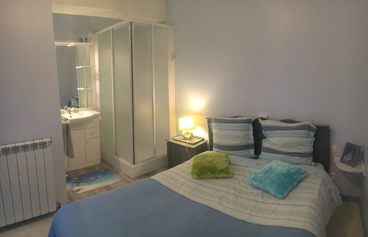 Appartement : 1 Chambre ,S. D'eau,bureau,cuisine . - Lannemezan