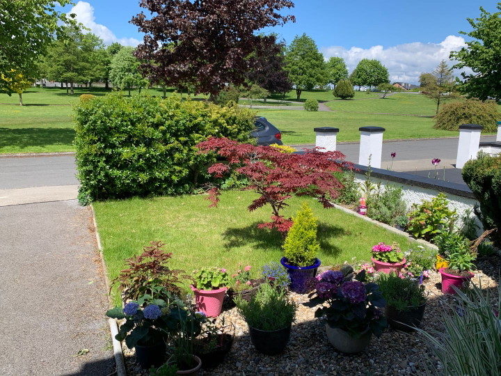 Pet Friendly, Wfh, Hi-speed Wifi, Own Apartment - Athlone