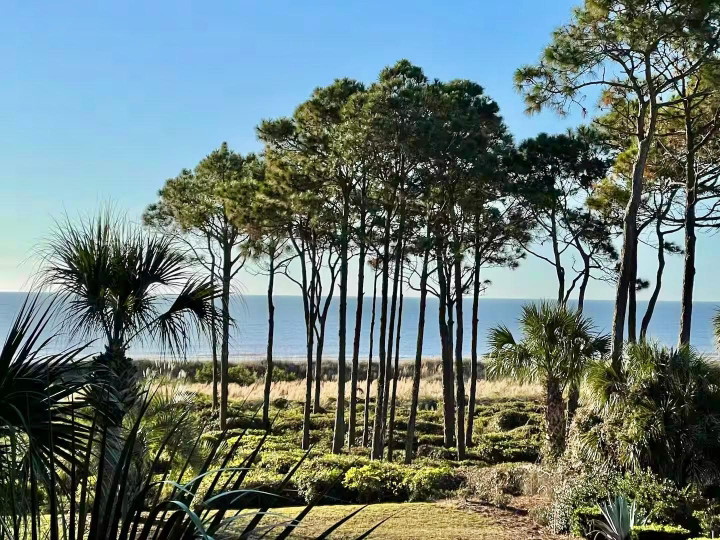 Just Beachy! Absolute Top Notch Design, Oceanviews - Florida