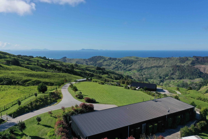 Top Of The World - Matakana