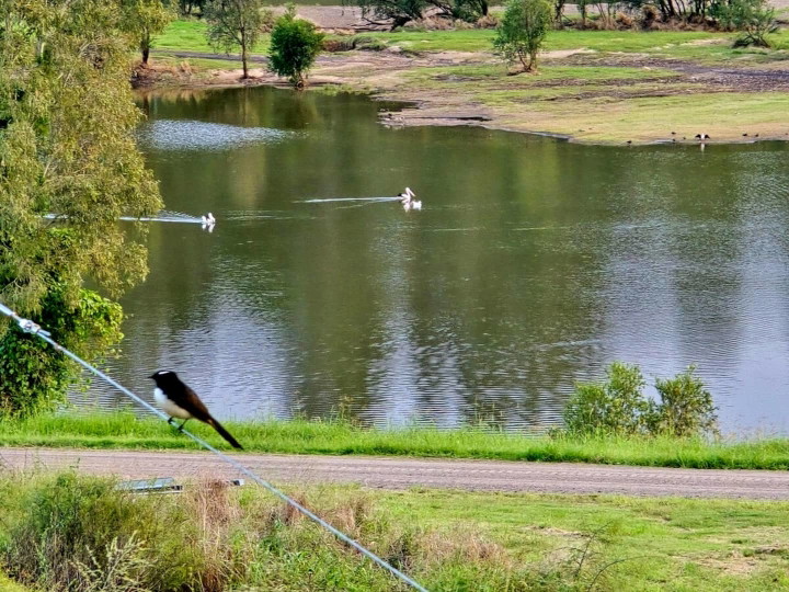 Tranquil Country Home In Kholo - 160b Kholo Road - Brisbane