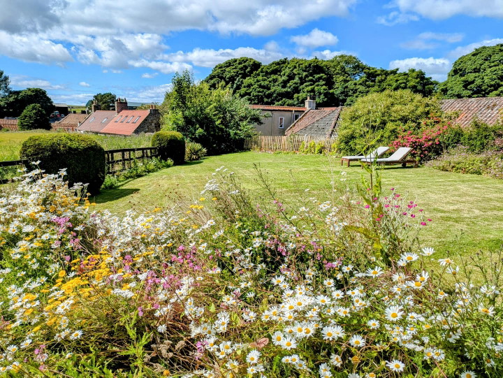 Coastal Walks & Countryside Charm, Near St Andrews - East Neuk