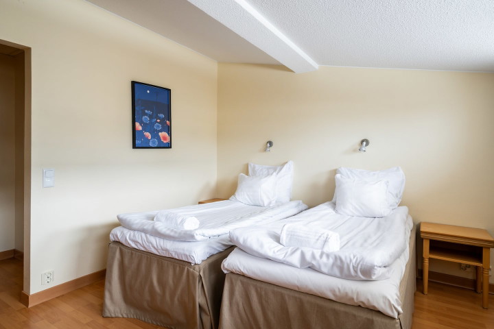 Cozy Hotel Room, 2 Single Beds, Private Bathroom - Turku
