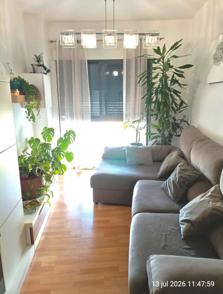 Cosy Apartment, Comfortable Atmosphere. , Ac. - Elche