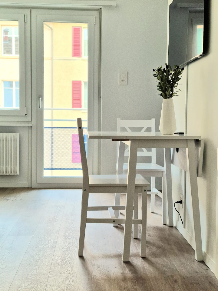 Double Apartment With Balcony - Bern