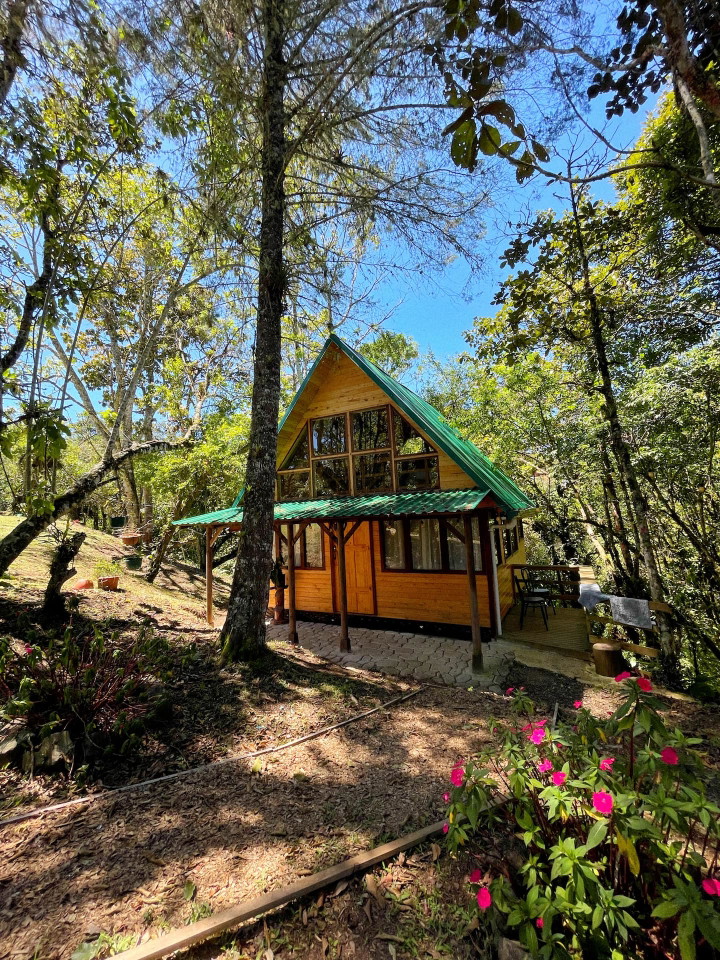 Chalet Forest Heaven - Cartago