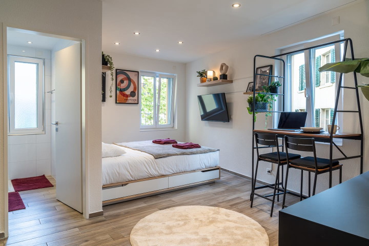 Modernes Apartment Im Zentrum - Zürich