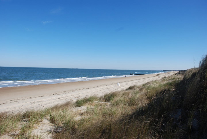 Mermaids & Mutts - Norfolk, VA