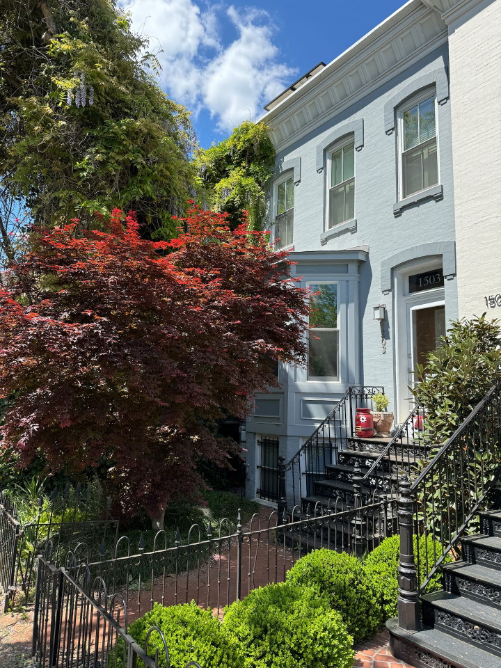 Charming Dupont English Basement - Washington, D.C.