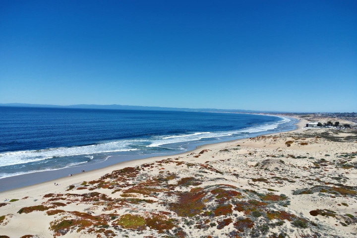 Ocean Harbor 318 - On The Beach! - Monterey, CA