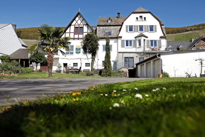 Apartment  Moselgarten  Im Weingut1 Mit Moselblick - Piesport