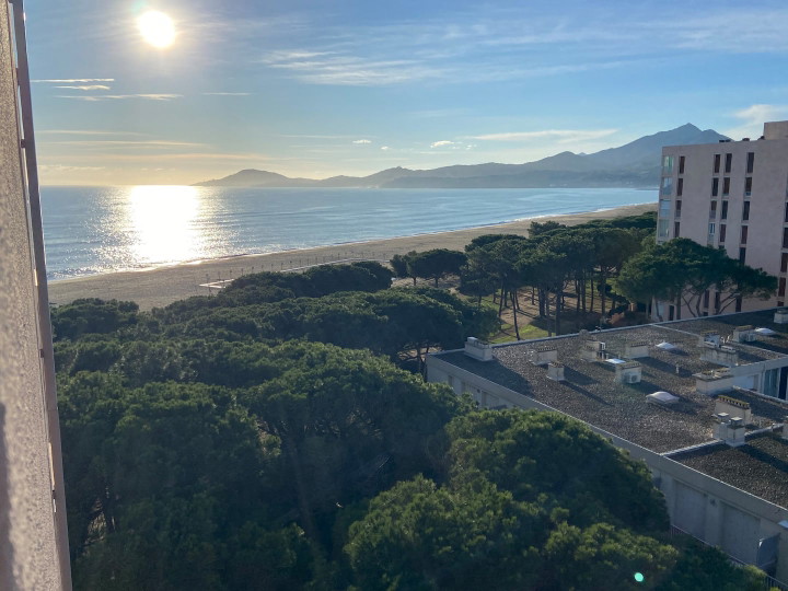 T2 Devant La Plage Avec Vue - Argelès-sur-Mer