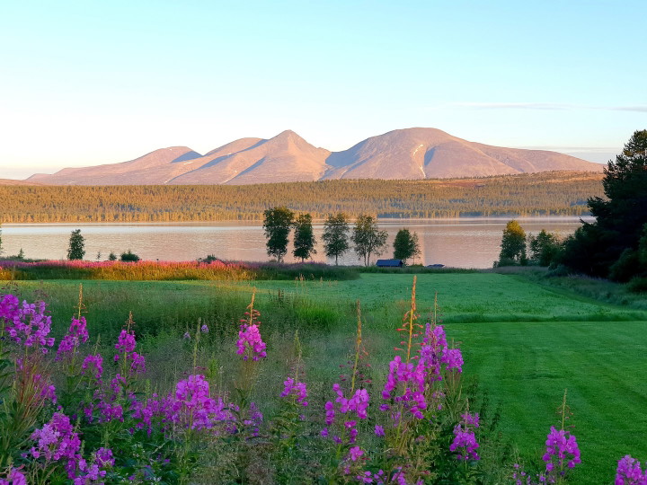 Galten Panorama Midt I Villmarka Ved Galtsjøen - Noruega